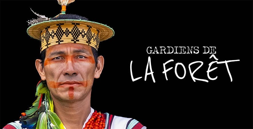 Gardiens de la forêt - Tous les épisodes | Educ'ARTE